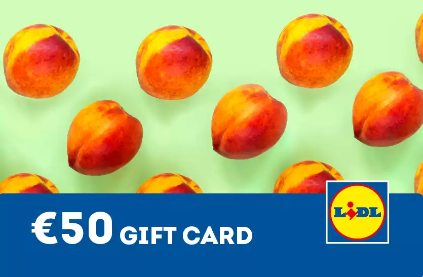 [Inaugurazione nuovo negozio LIDL + celebrazione 100 anni FESTOOL ...